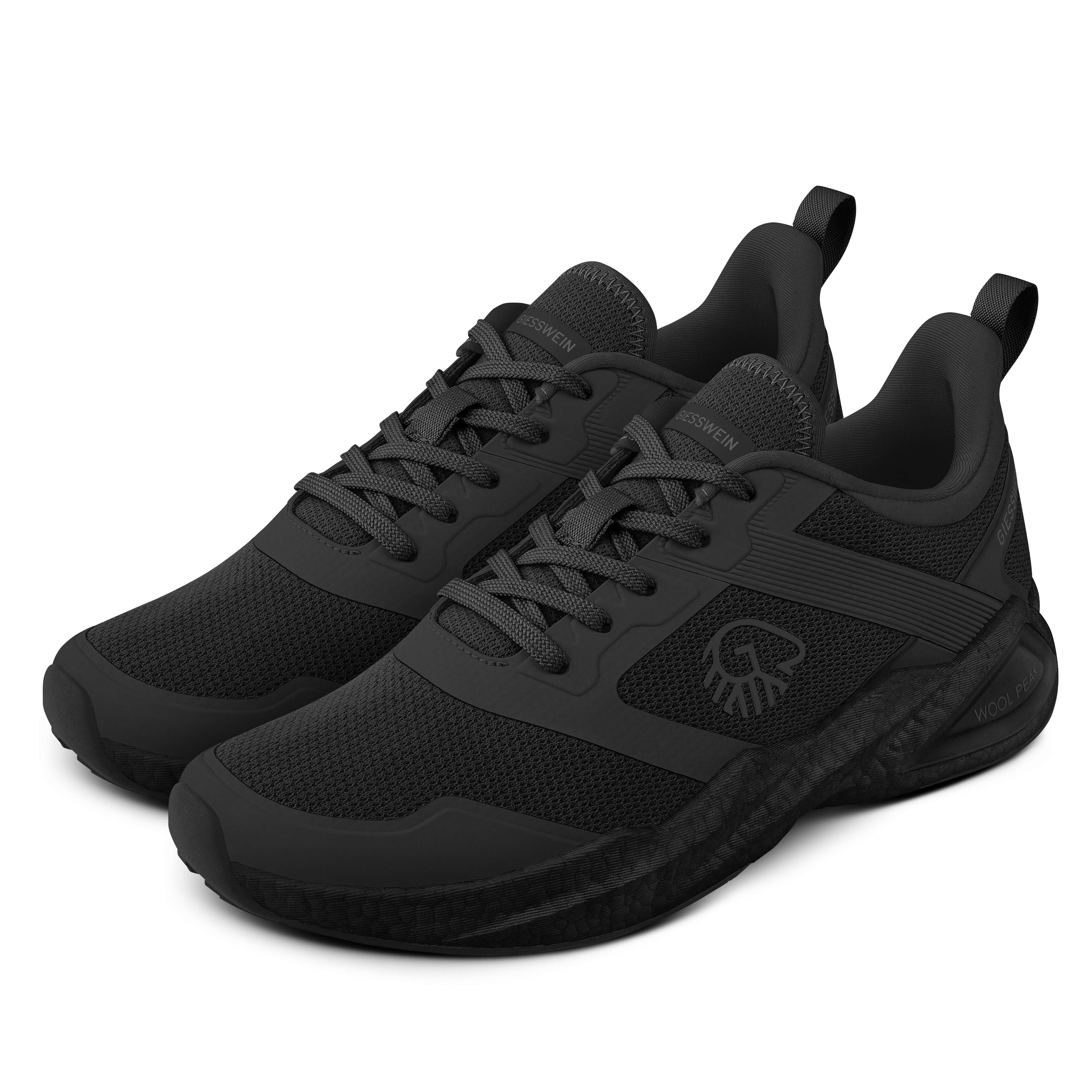PANTOFI DE ALERGARE WOOL PEAK BARBATI Pantofi de alergare WO...