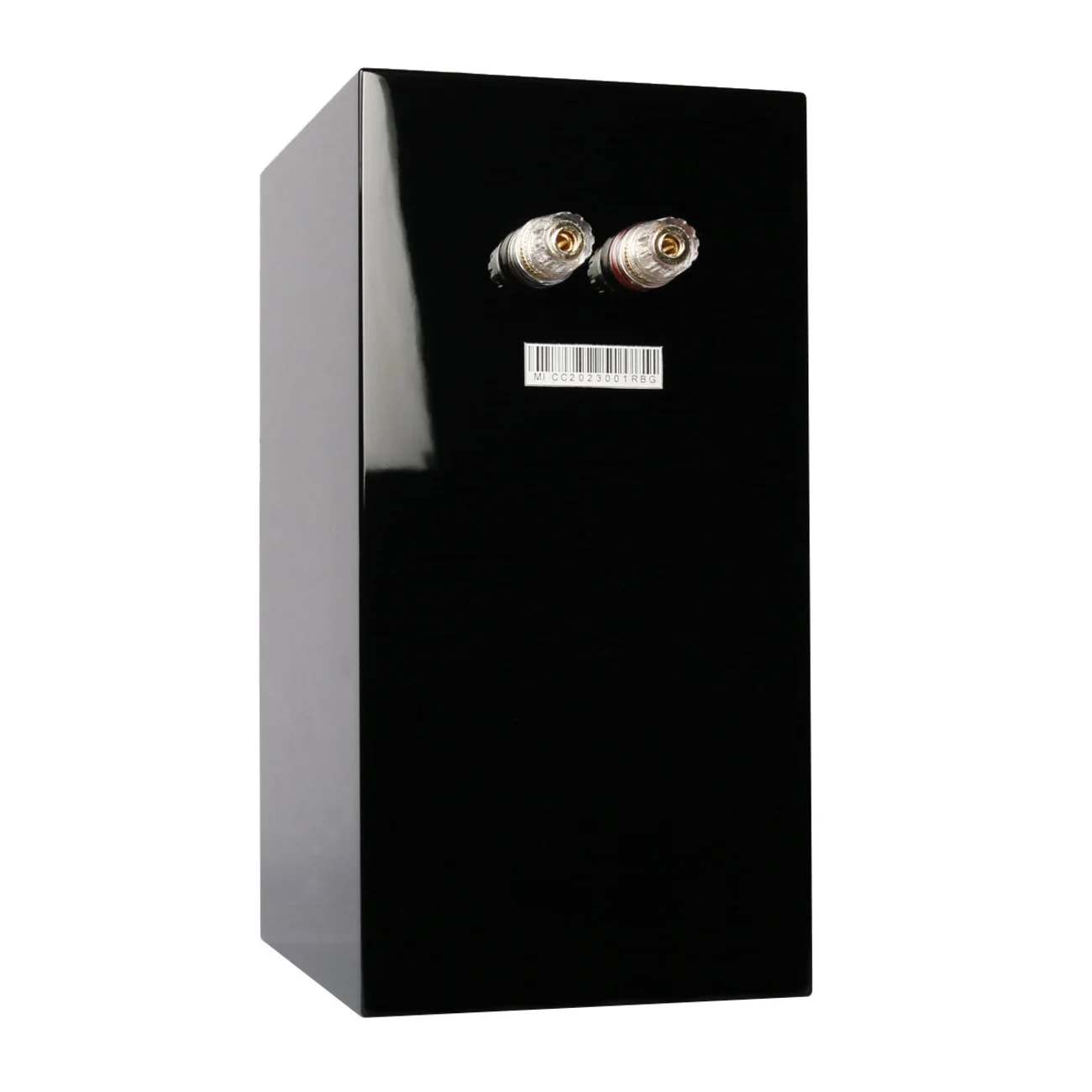 Boxe raft SB Acoustics MICRO-C Black High-Gloss - audioclub....