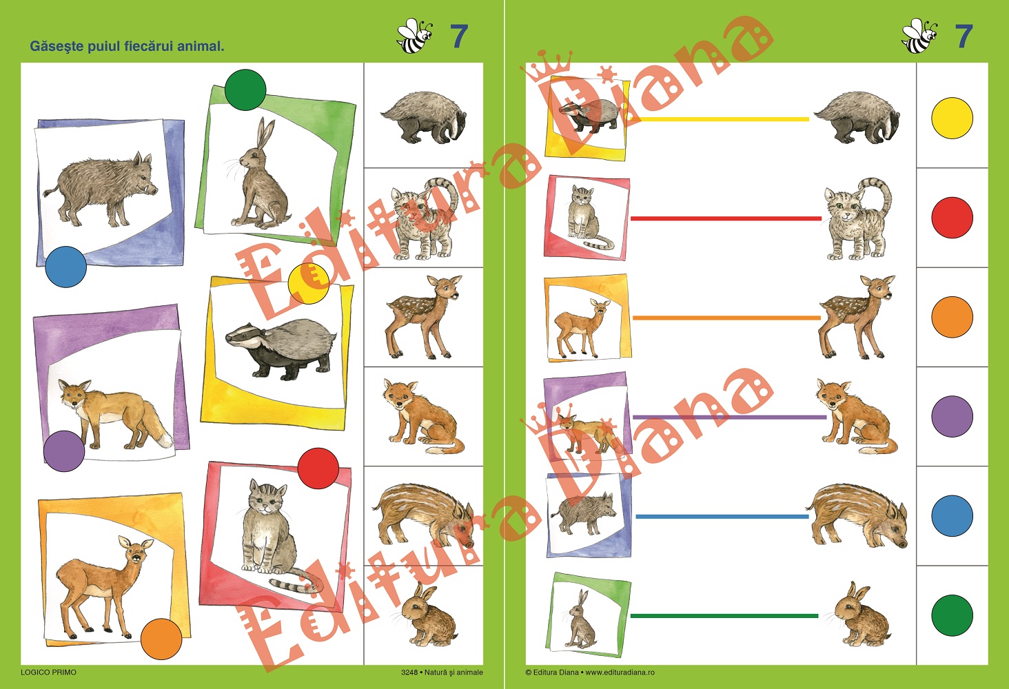 Mapa Logico Primo - Natura Si Animale | Editura Diana