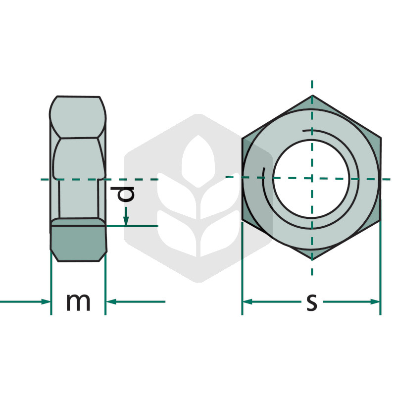 Piulita hexagonala, M10