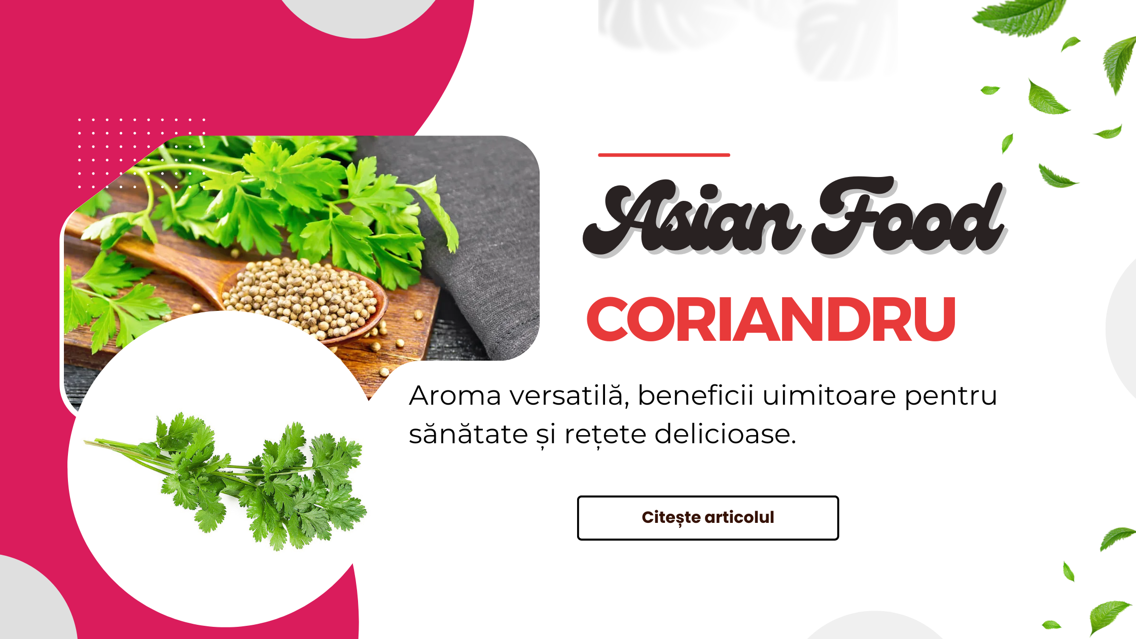 Coriandru ᐈ Beneficii nutritive și rețete delicioase