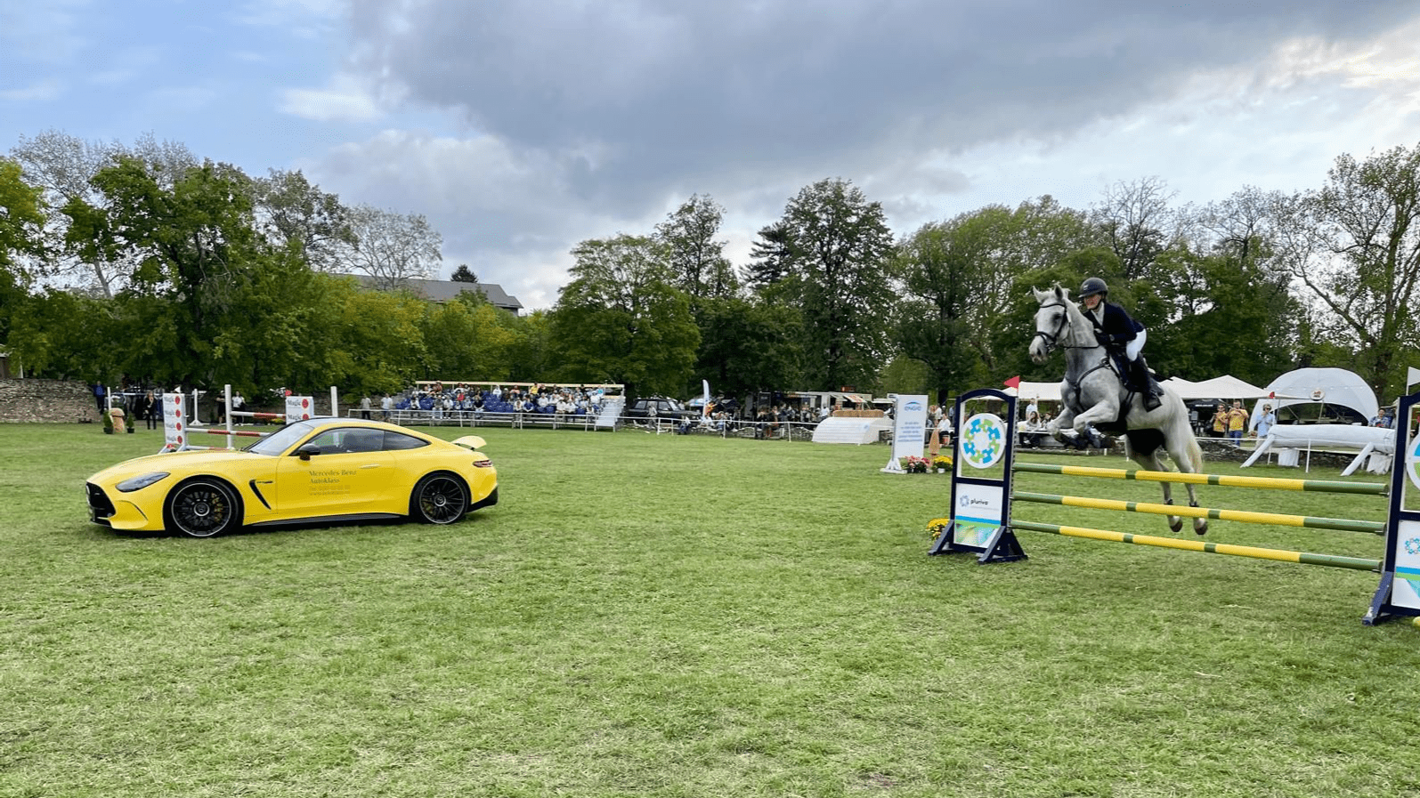 Autoklass și Karpathia Horse Show 2024: Un parteneriat bazat pe ...