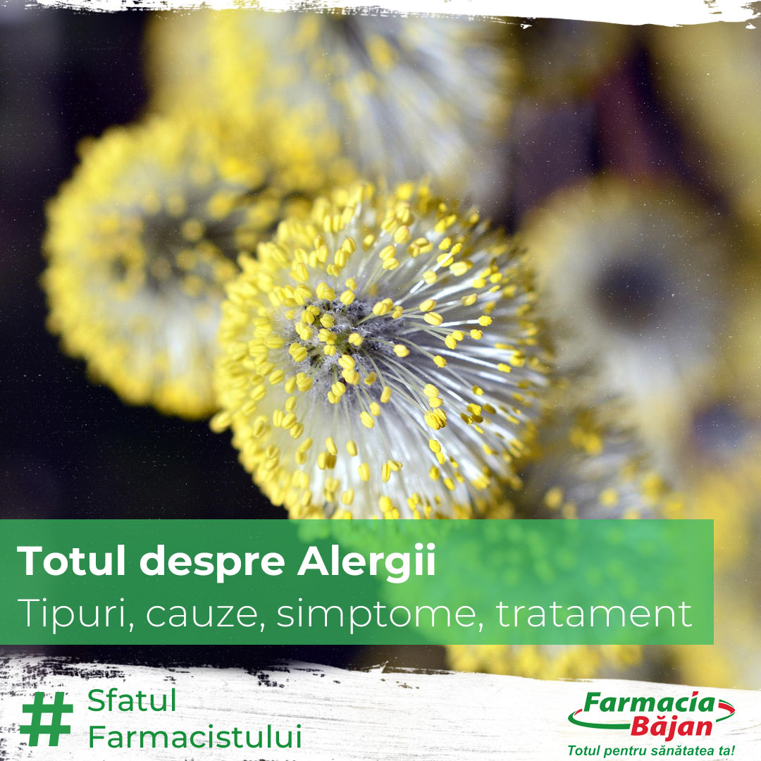 Totul despre Alergii: tipuri, cauze, simptome, tratament