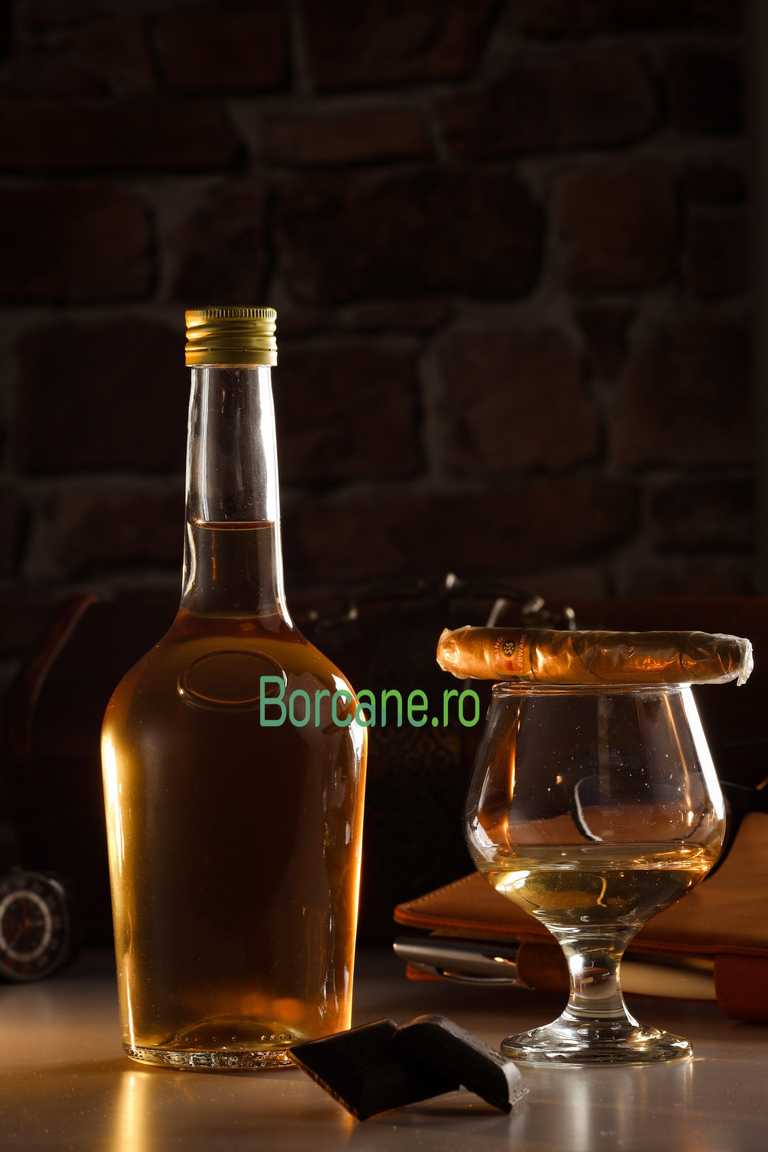 Sticla 500 ml Gloria Sticle Borcane.ro