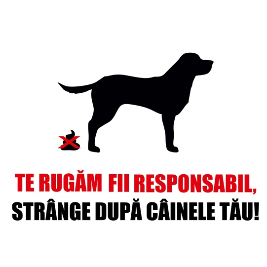 Indicatoare de avertizare INDICATOR AVERTIZARE PVC 20X30CM F...