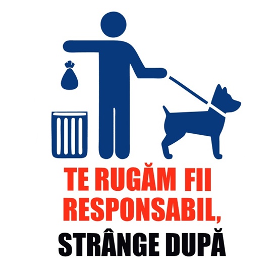 Indicatoare de avertizare INDICATOR AVERTIZARE PVC 20X30CM F...