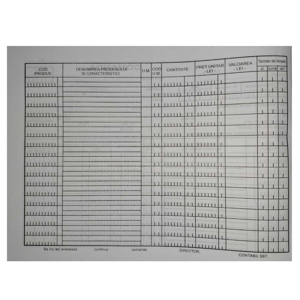 Formular comanda A4 100file FV - preturi avantajoase - DNS ...