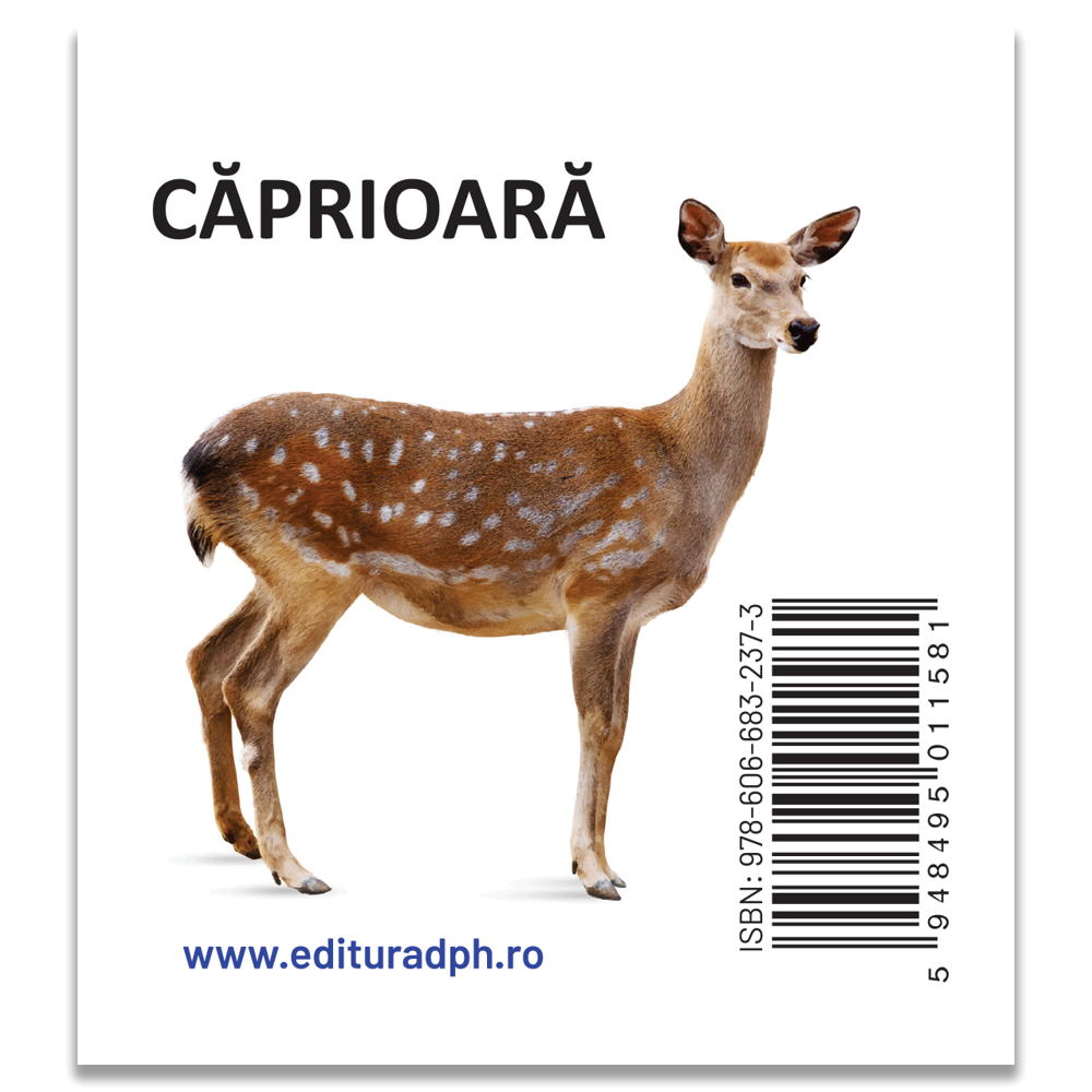 Animale salbatice - carti pliate - -Editura DPH