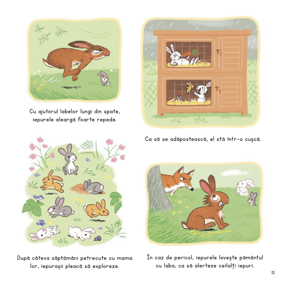 Ce stii despre puii de animale de la ferma? - -Editura DPH