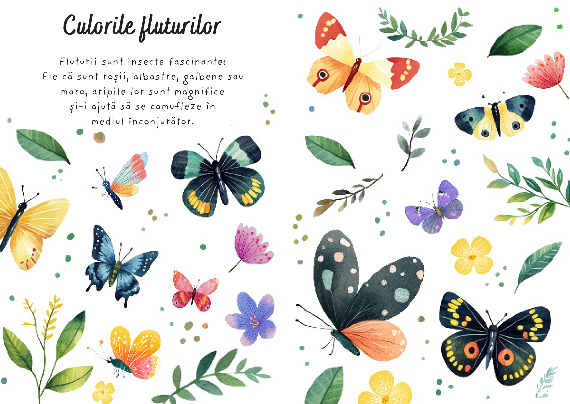 Fluturii - Puzzle magic de colorat cu apă - -Editura DPH