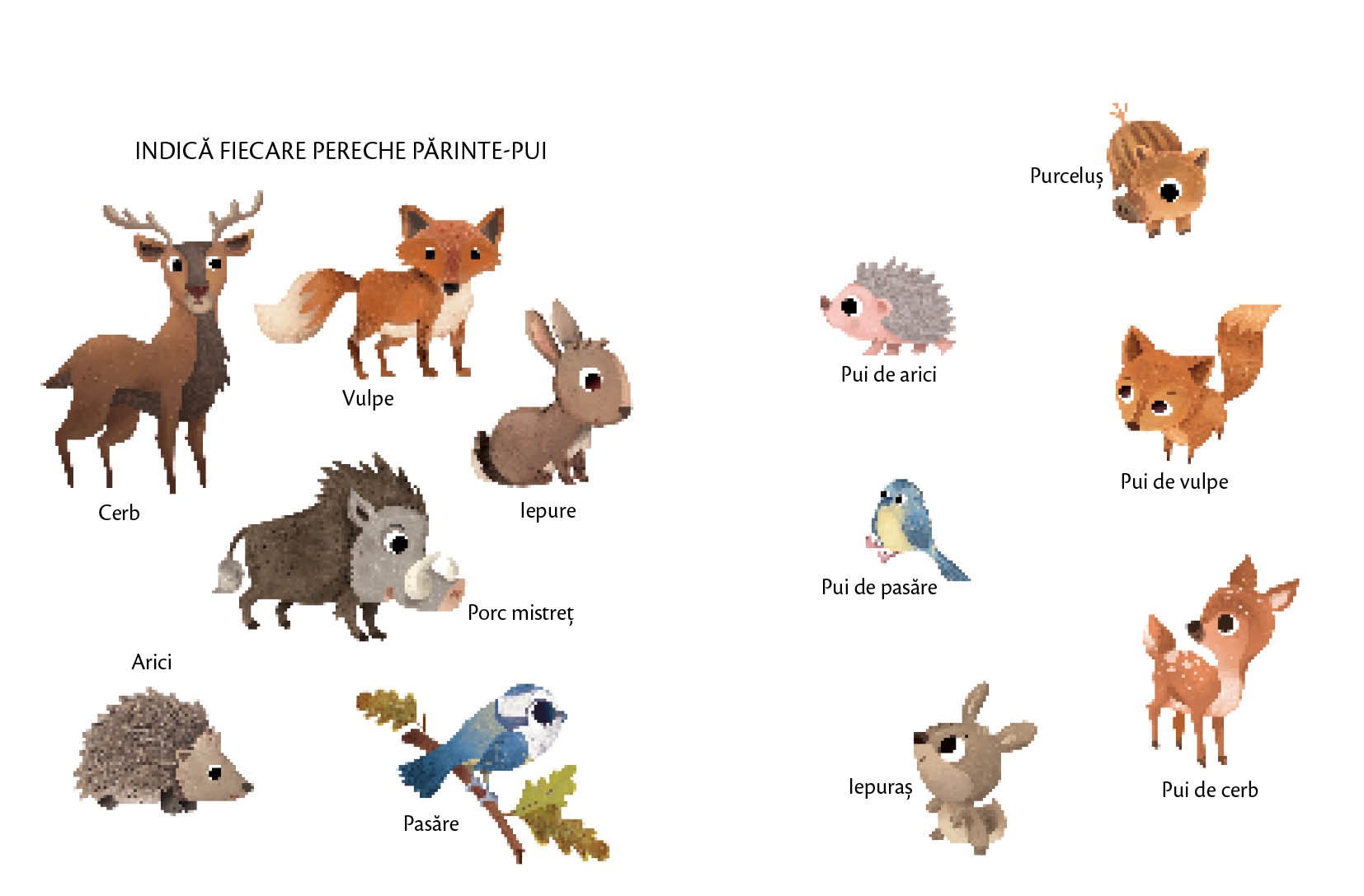 Gradinita distractiva: Exploram natura - -Editura DPH