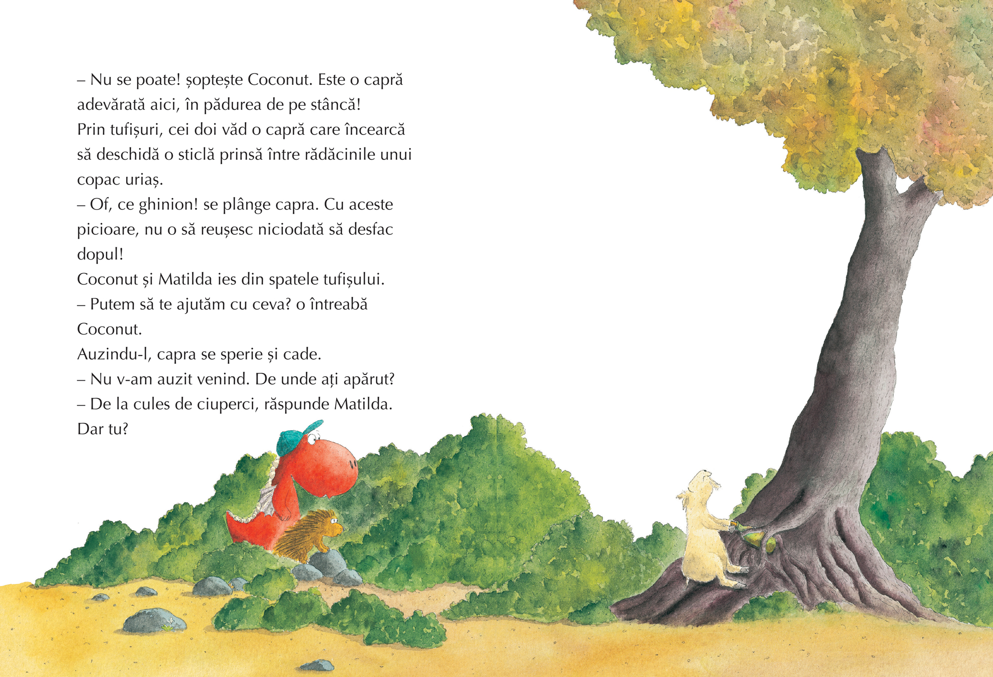 Micul Dragon Coconut si Marele Vrajitor - -Editura DPH