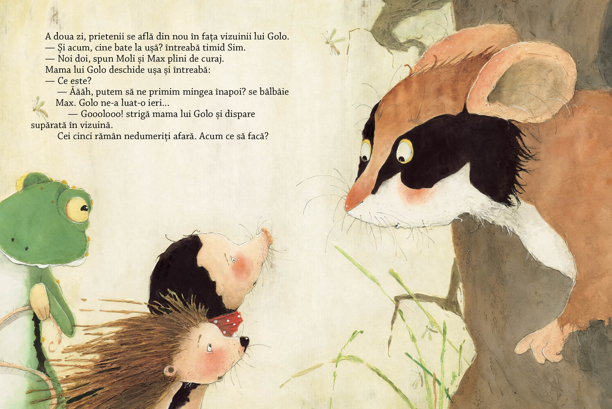 O minge pentru toti -Brigitte Weninger -Editura DPH