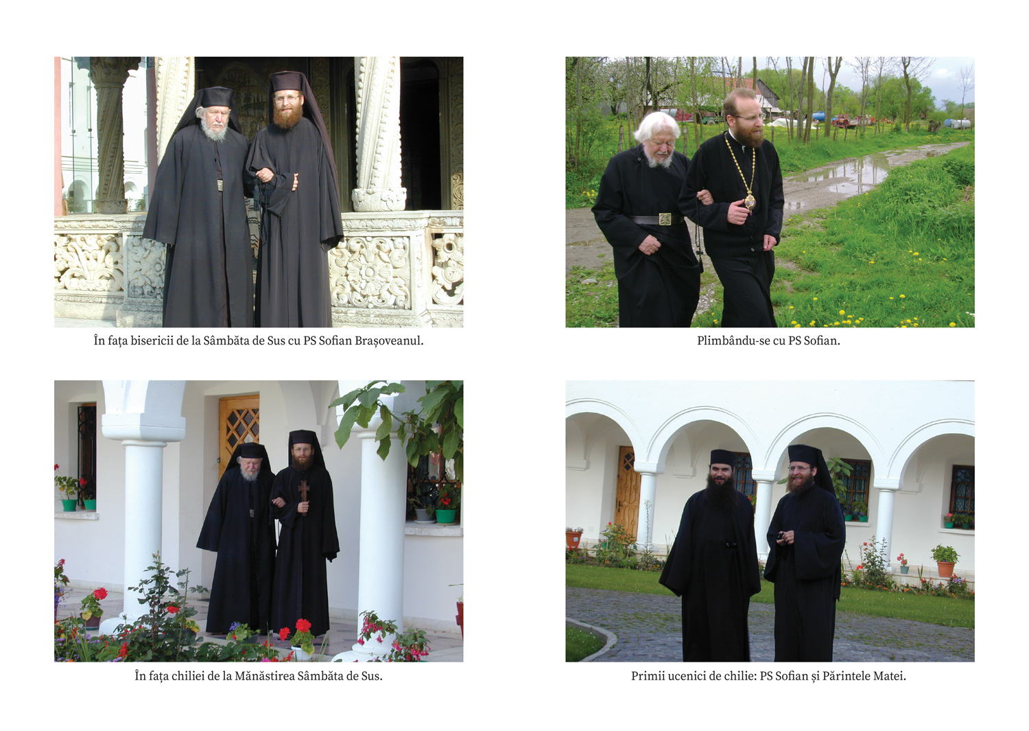 Parintele Teofil cel din inima mea - -Editura DPH