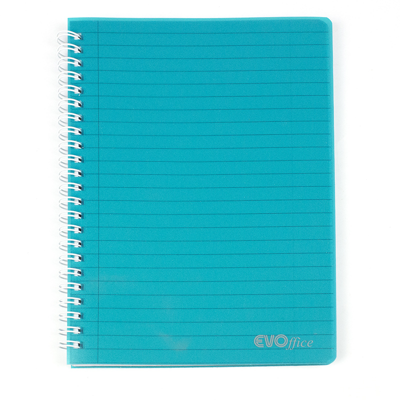 Caiete Caiet A5 cu spira metalica, microperforatii si copert...