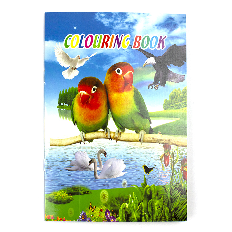 Articole educative si de creatie Caiet de colorat A5 ,10 fil...