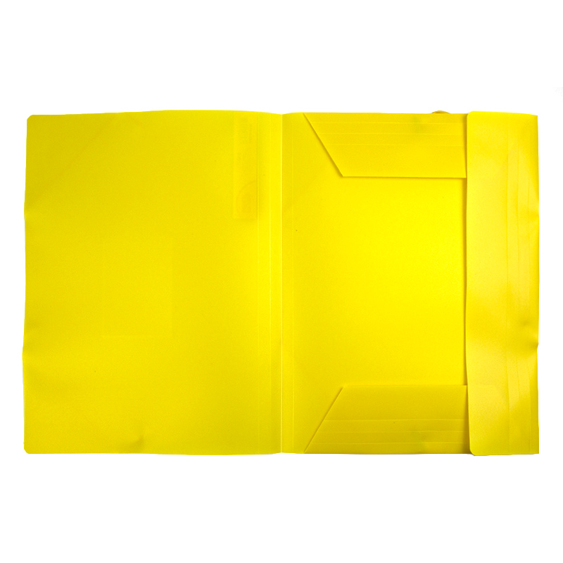 Mape Mapa plastic rigid A4 (318*237mm) cu elastic si buzuna...