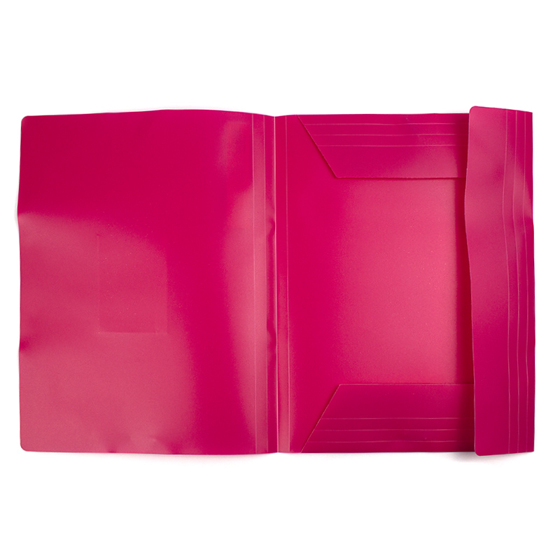 Mape Mapa plastic rigid A4 (318*237mm) cu elastic si buzuna...