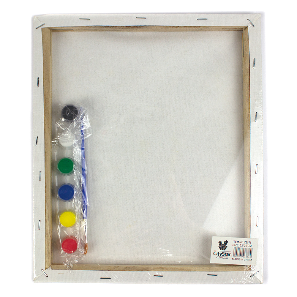 Articole pentru desen si pictura Panza predesenata pe sasiu ...