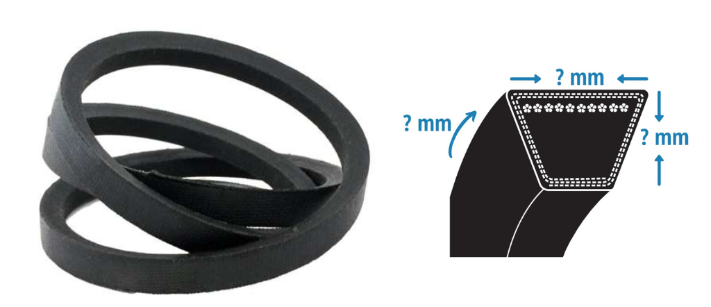 Care sunt cele mai utilizate tipuri de curele? | Lecoimpex