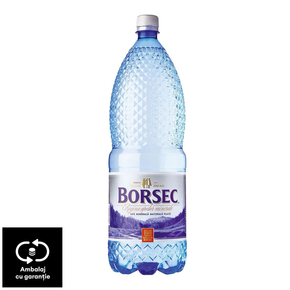Apa plata APA PLATA BORSEC SGR 2L 5942219115890 BORSEC nonst...