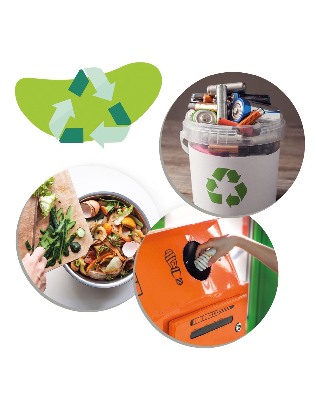 Educatie ecologica 3R - redu, refoloseste, recicleaza 150149 Omfal ...