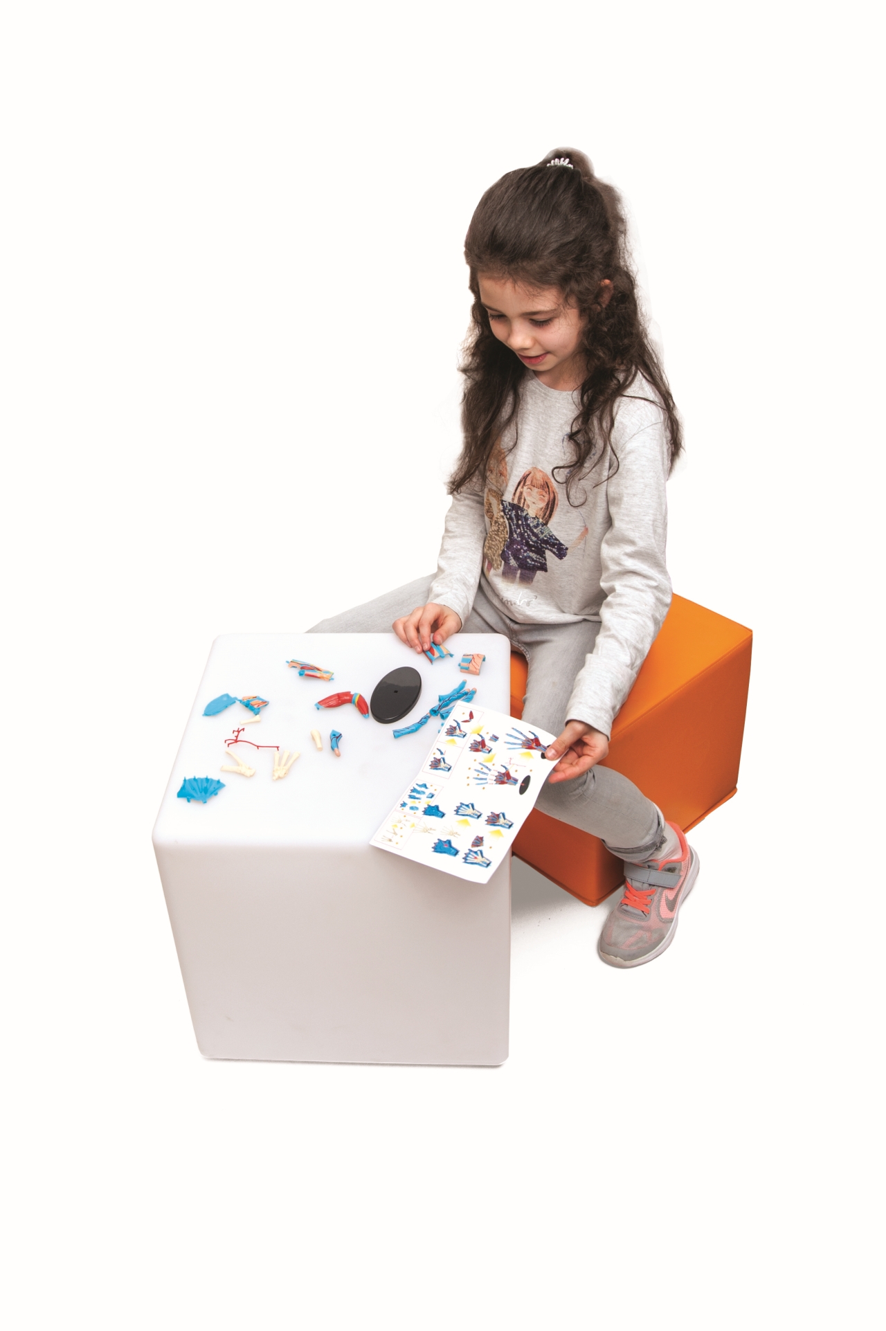 Anatomie Mana - model anatomic 241161 Omfal Educational