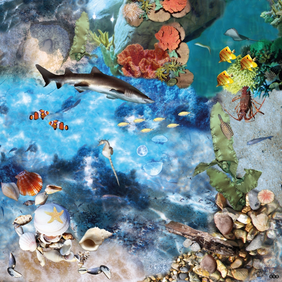 Tava si accesorii pentru activitati Fundal Ocean 857011 Omfal Educational