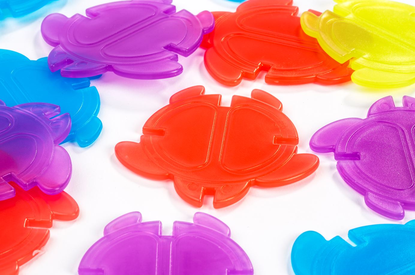 Logica Joc logica testoase 130131 Omfal Educational