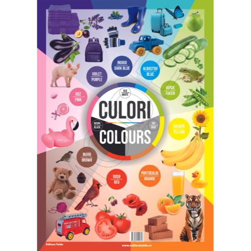 Planse didactice, Postere Plansa culori 487006 Omfal Educational