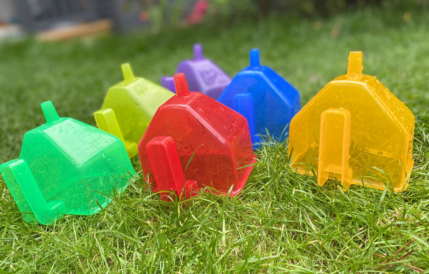 Stimulare vizuala Set 6 buc palnii colorate translucente 850067 Omfal ...