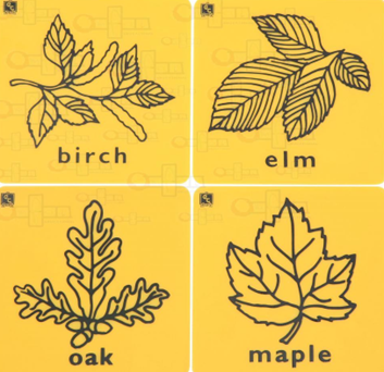 5 idei de toamnă cu frunze