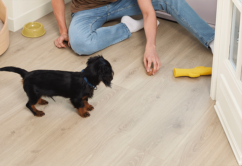 Parchet Laminat RAVELI Pret: de la 50 lei /m2
