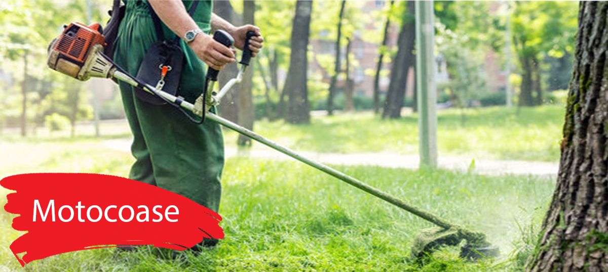 Elefant Tools - Partenerul tau in bricolaj