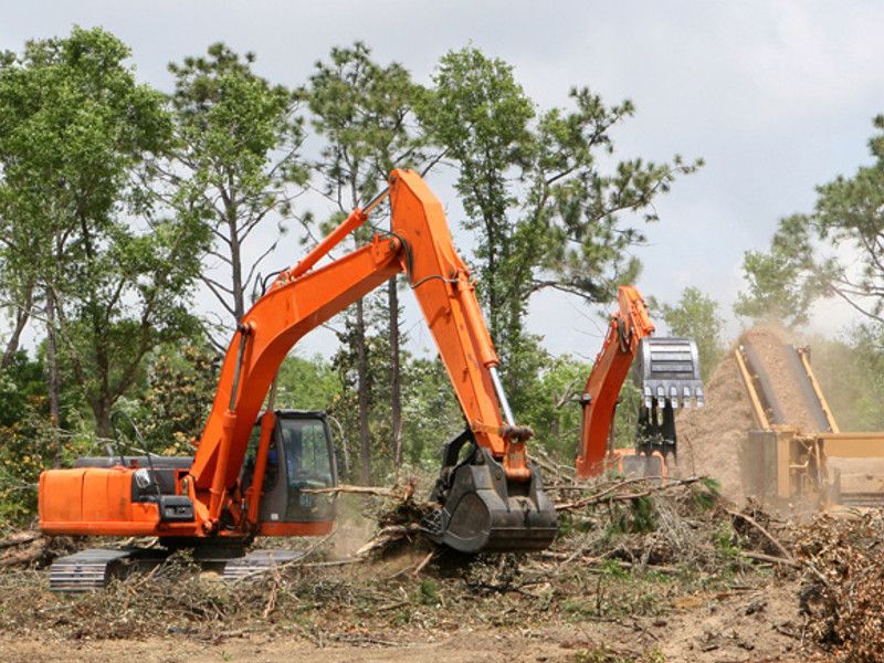 Servicii de amenajare terenuri Curatarea terenului de arbust...