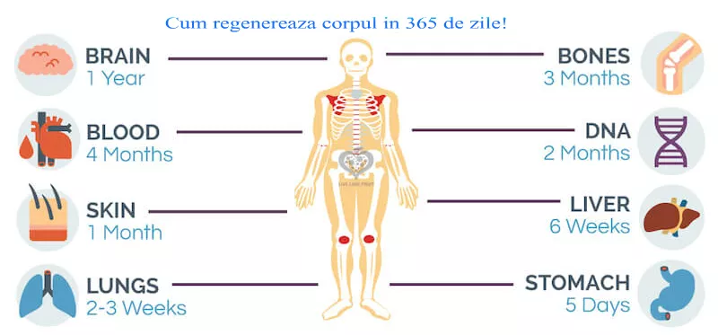 Regenerarea