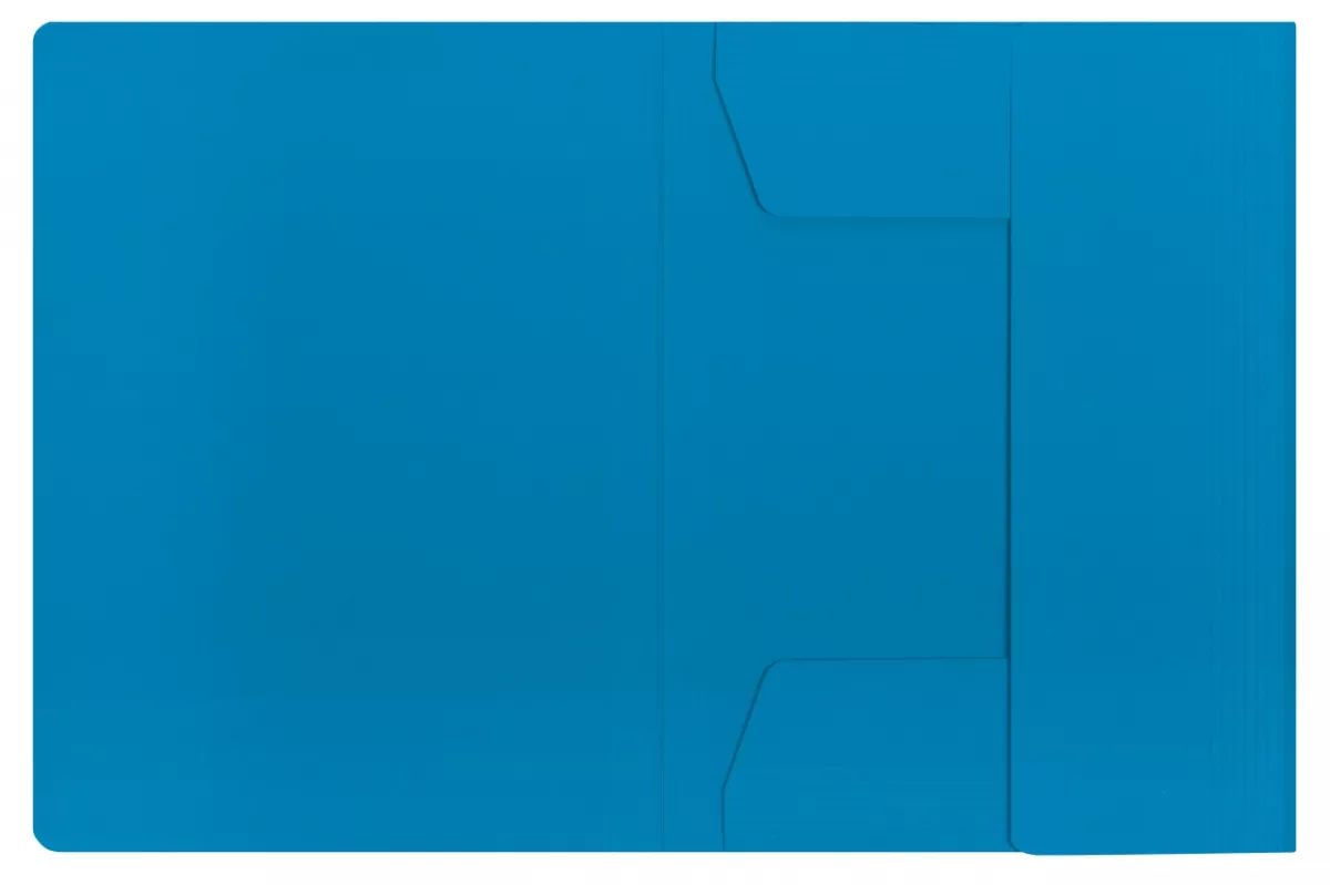 Dosare carton DOSAR PLIC ELBA CHIC A4, CARTON MANILA 320G/MP...