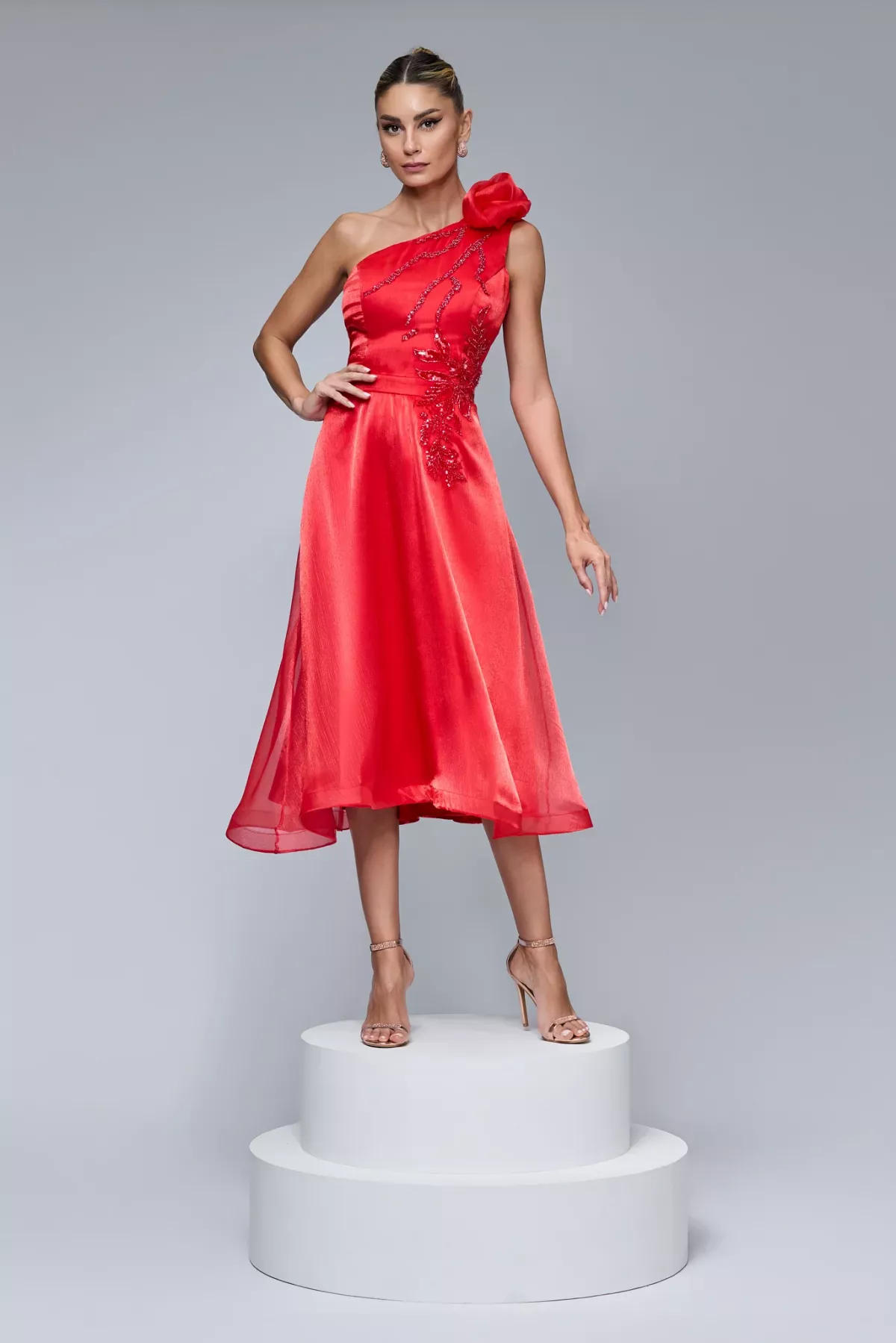 ROCHII - Pagina 3 BBY.ro