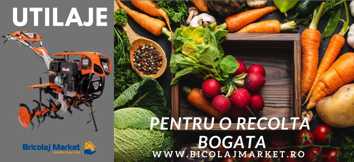 Magazin de Echipamente, Scule si Unelte | Bricolaj Market