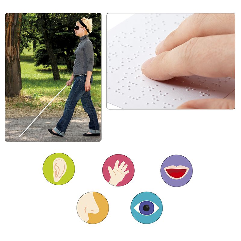 Jocuri senzoriale Cele 5 simturi 100163 Nathan Omfal Educational