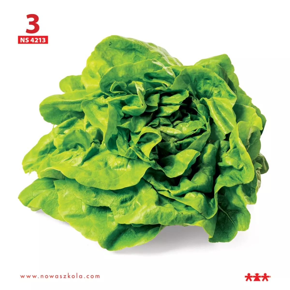 Imagini Imagini fructe si legume 241551 Omfal Educational