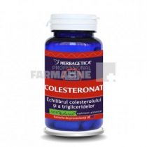 Medicamente Colesterol - Tratamente si pastile eficiente | Pfarma.ro