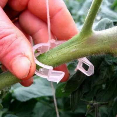 Magazin de pesticide, fertilizanti bio, seminte, produse si accesorii ...