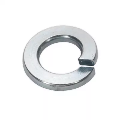 Saiba SAIBA ELASTICA GROWER DIN 127B ZN M16 6984000019818 Re...