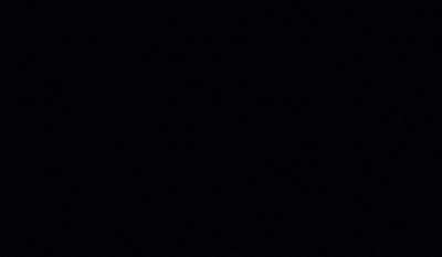 PAL MELAMINAT planm.ro