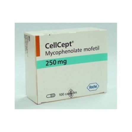 CELLCEPT 250mg X 100 - Vezi prospectul | Pfarma.ro