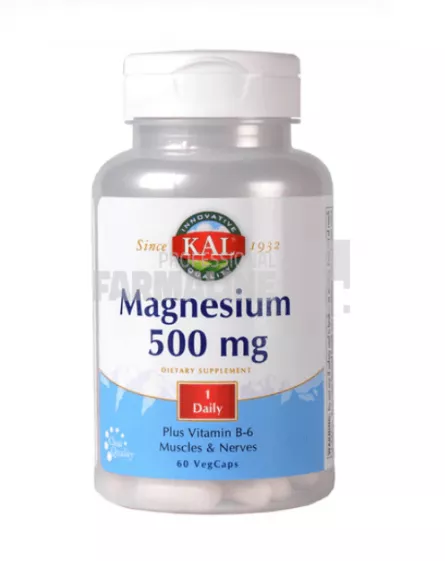 Magnesium 500 mg 60 capsule - la pret mic | Pfarma.ro