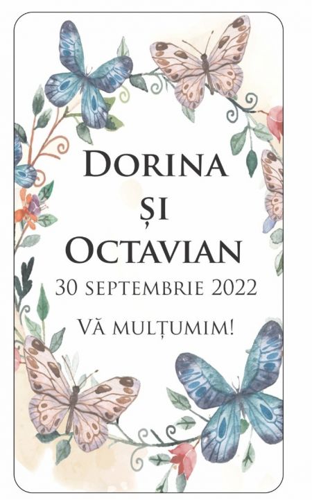 Borcane si sticle marturii nunta, Cadouri marturii nunta, Sticle si ...