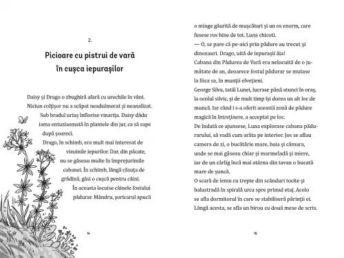 Luna si padurea magica - Vol. 1: Bufnita cu o cheie in cioc...