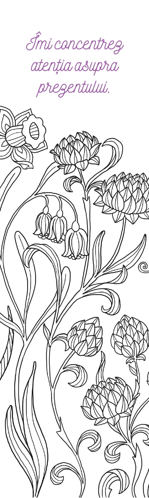 Semne de carte de colorat - Mantre - Stare de bine - -Editu...